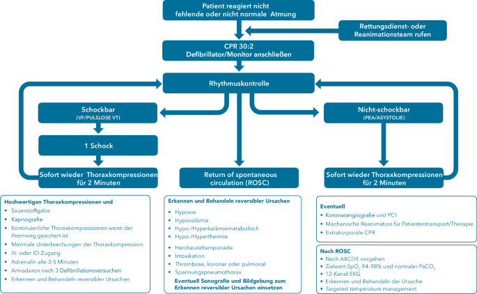 Kardiopulmonale Reanimation | SpringerLink