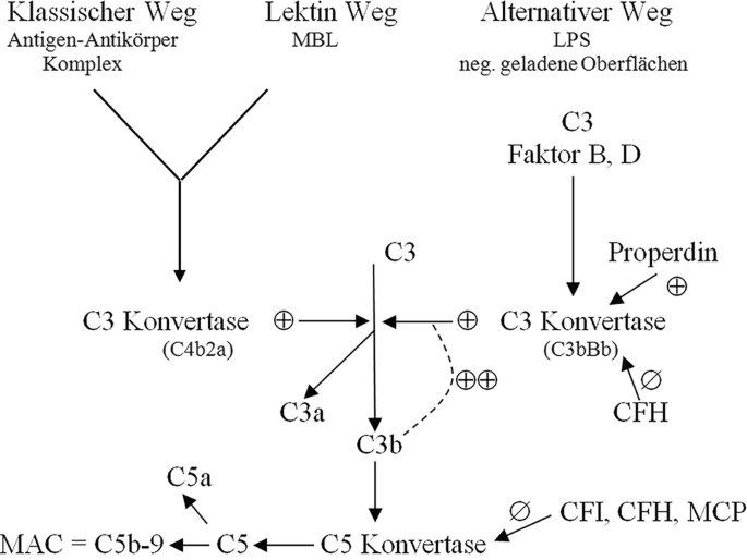 Thrombotische Mikroangiopathien | SpringerLink