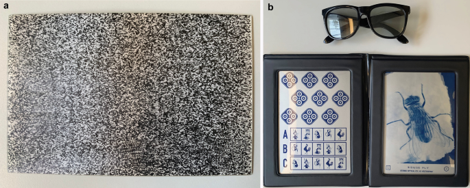 Visuelle Entwicklung und Amblyopie | SpringerLink