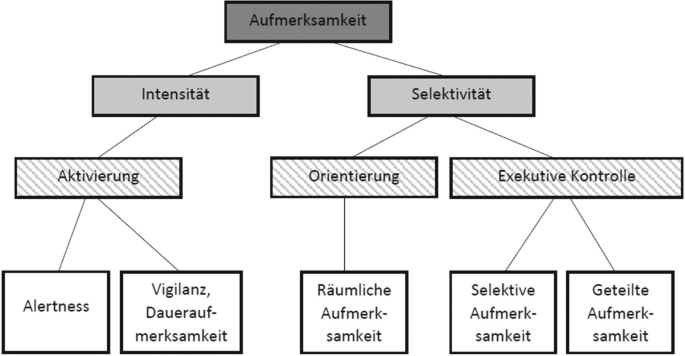 Aufmerksamkeitsstörungen | SpringerLink