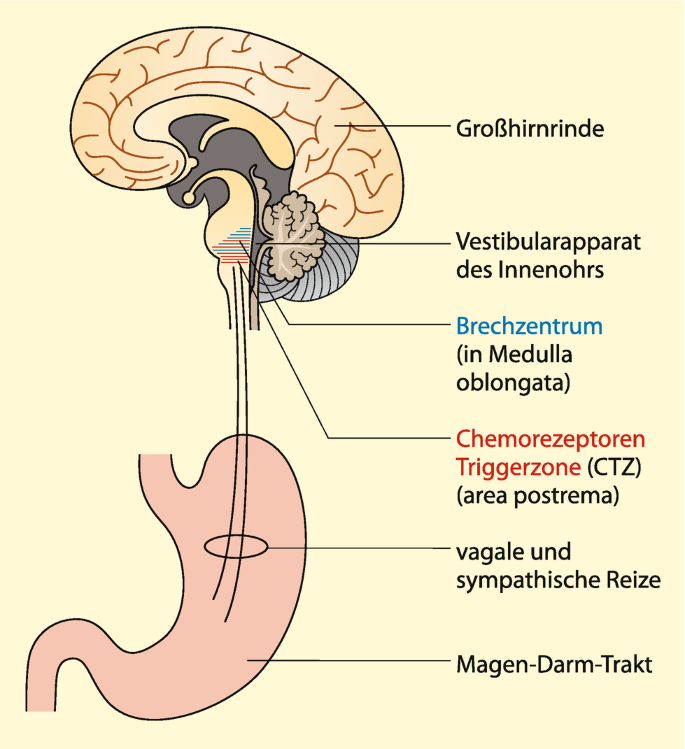 Übelkeit und Erbrechen | SpringerLink