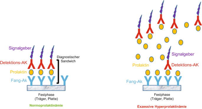Präanalytik, Aufklärung, Biostatistik und Störgrößen bei ...
