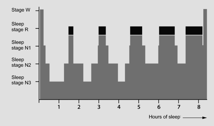 Insights into Sleep Research | SpringerLink