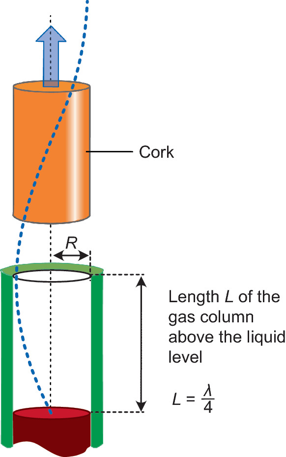 In the Beginning is the Cork: Physics of Bottle Opening | SpringerLink