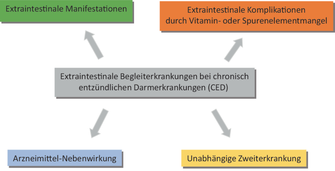 Extraintestinale Manifestationen: Wenn nicht nur der Darm erkrankt ...
