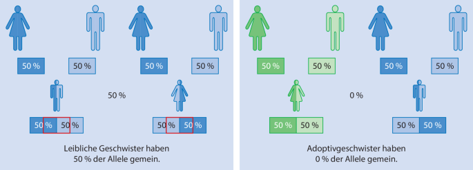 Modelle und Bedingungen der Entwicklung | SpringerLink