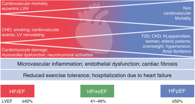 Chronic Heart Failure | Springer Nature Link (formerly SpringerLink)