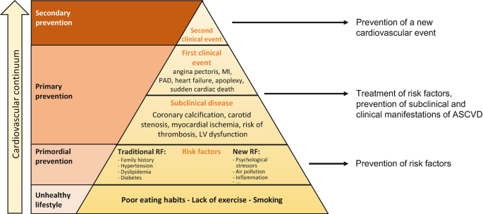 Cardiovascular Rehabilitation | Springer Nature Link