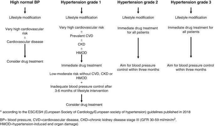 Cardiovascular Risk Factor Hypertension | Springer Nature Link