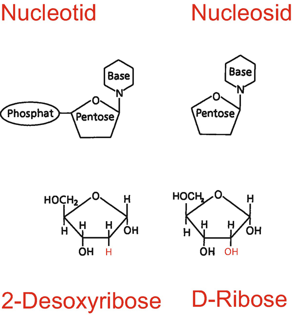 Grundlagen und Baustoffe | SpringerLink