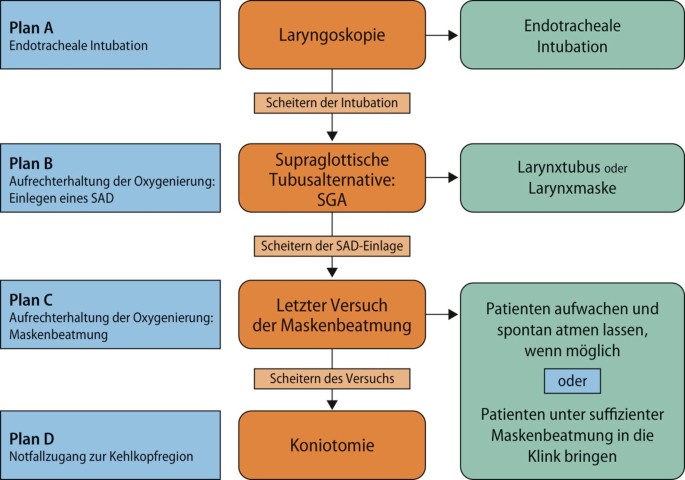 Atemwegssicherung, Intubation und Beatmung | SpringerLink