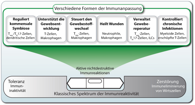 Wie kommt es zu Allergien? | Springer Nature Link