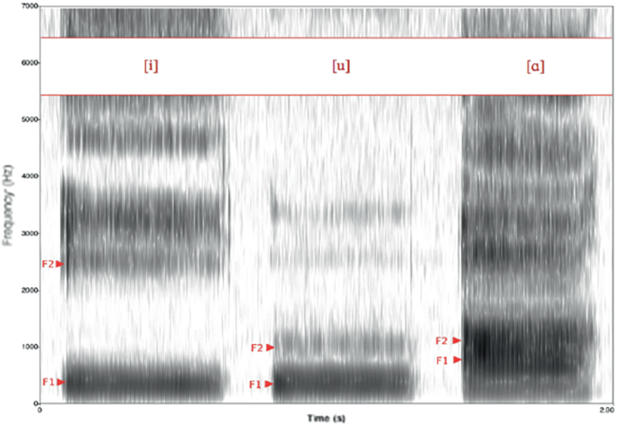 Phonetische Grundlagen | SpringerLink