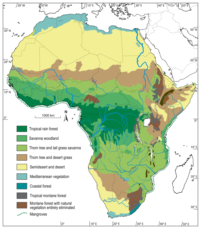 Biogeography | SpringerLink