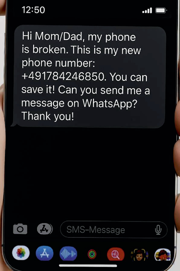 Grandchild Scam | SpringerLink