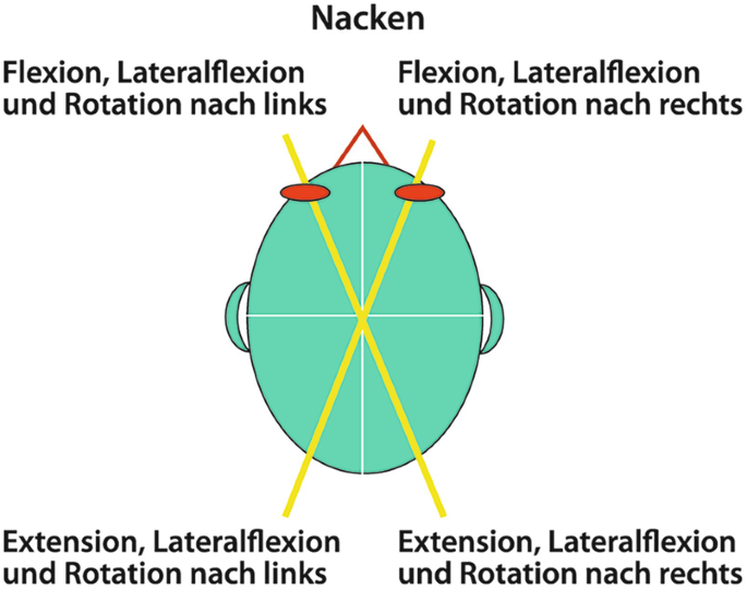 Nacken | Springer Nature Link (formerly SpringerLink)