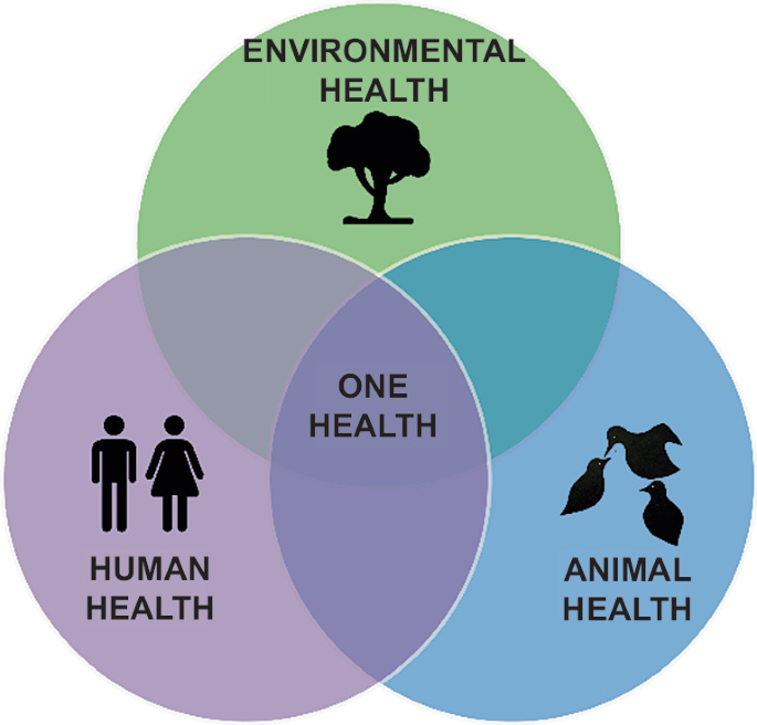 One Health—Environment and Health in the Context of Chronic Diseases ...