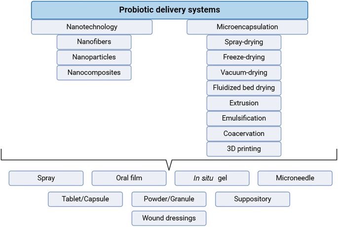 Live Probiotics-Loaded Delivery Systems for the Treatment of Infected ...
