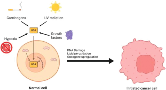 Cancer: Concepts and Newer Therapies | SpringerLink