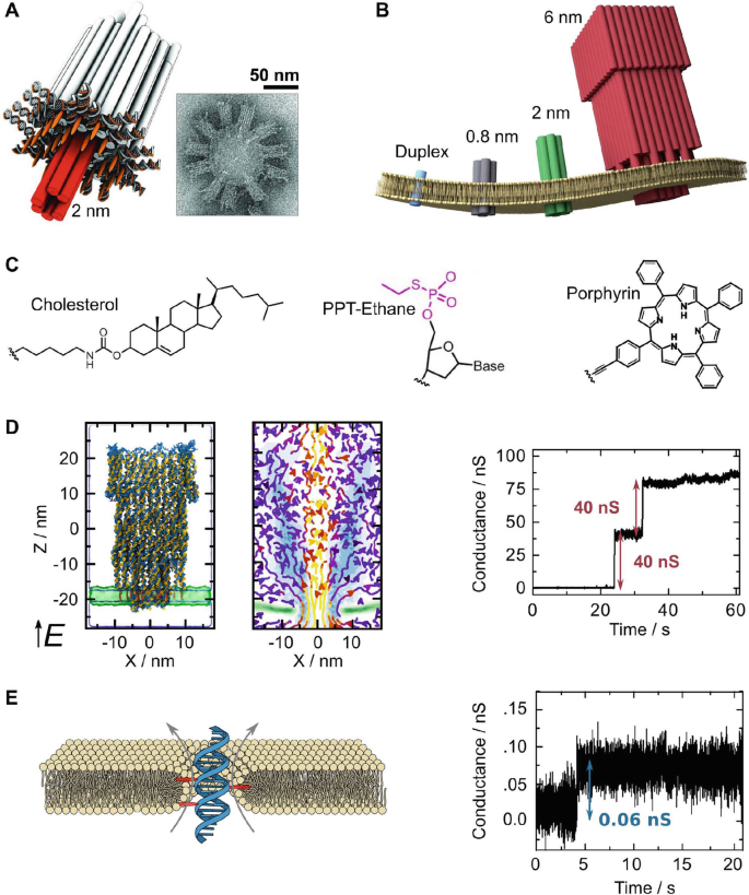 DNA Nanotechnology for Building Sensors, Nanopores and Ion-Channels ...