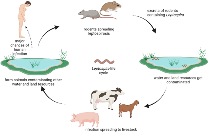 Nanotechnology in Preventive Management of Miscellaneous Livestock ...