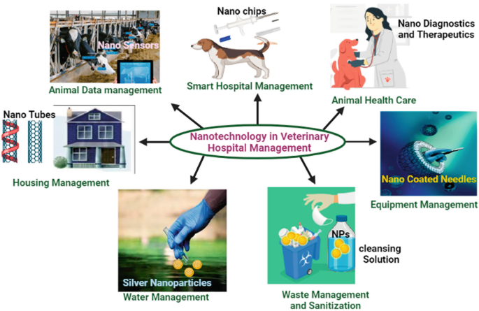 Nanotechnology in Veterinary Hospital Management | SpringerLink
