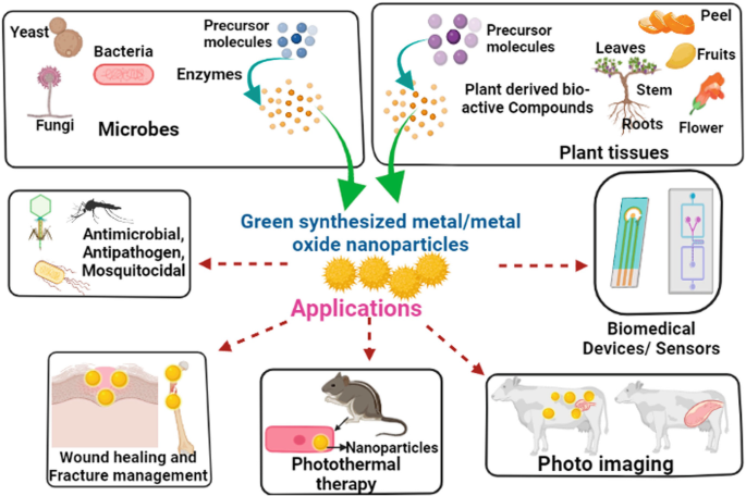 General Methods for Generation, Characterization, and Functionalization of Different Types of ...