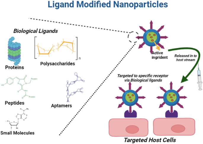 Cancer Nanotherapeutics | SpringerLink