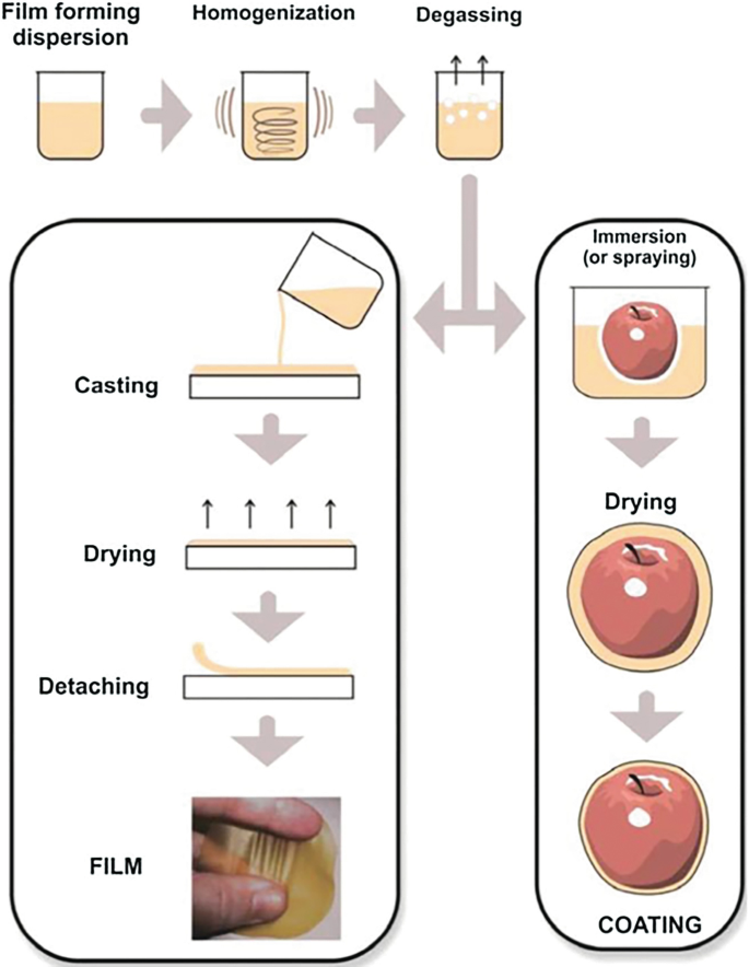 Chitosan-Based Composites as Sustainable Food Packaging Materials ...