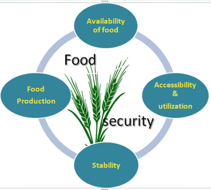 Mutation Breeding to Promote Sustainable Agriculture and Food Security ...