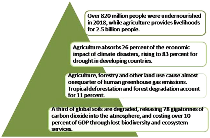 Mutation Breeding to Promote Sustainable Agriculture and Food Security ...