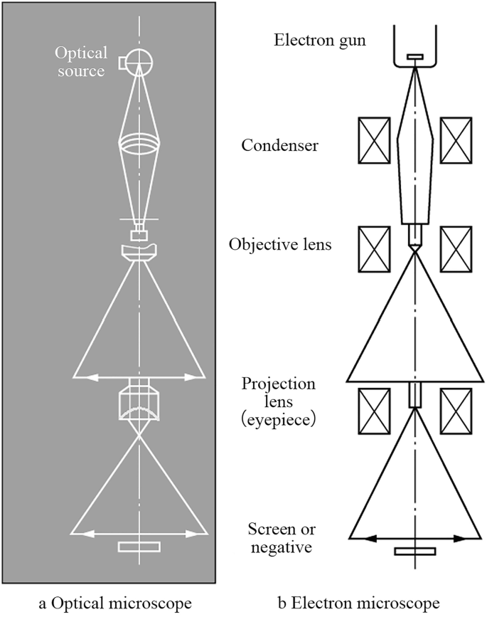 Electron Microscopy | SpringerLink
