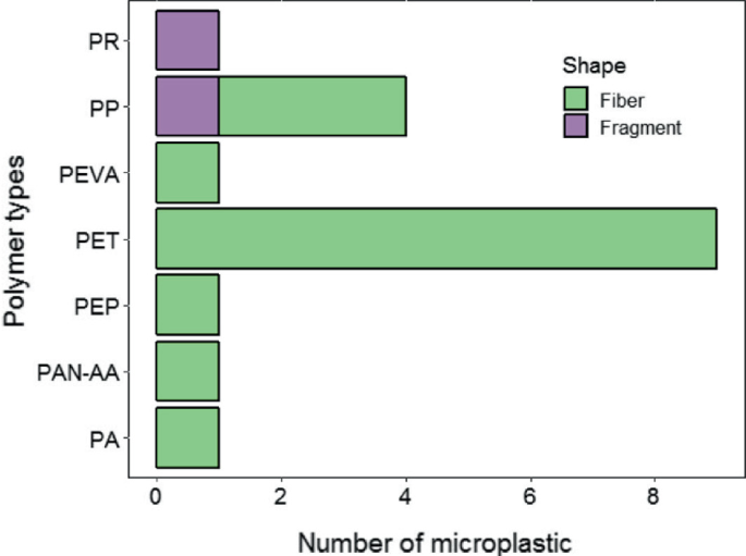 Impact of Microfiber/Microplastic Pollution | SpringerLink