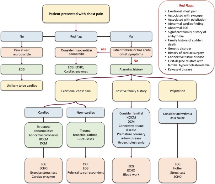 Chest Pain | Springer Nature Link (formerly SpringerLink)