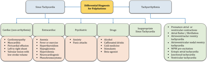 Palpitations Management | Springer Nature Link