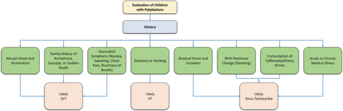 Palpitations Management | Springer Nature Link