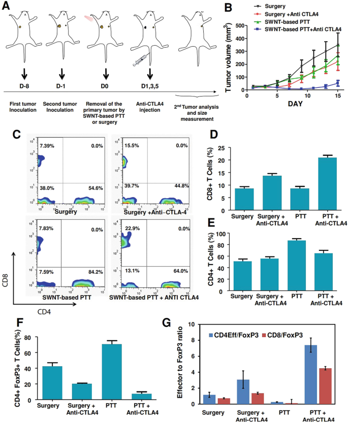 Combined Therapy in Cancer Treatment | SpringerLink