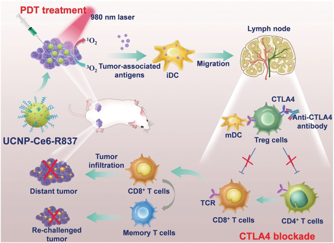 Combined Therapy in Cancer Treatment | SpringerLink
