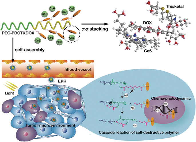 Smart Drug Delivery Vehicle | SpringerLink