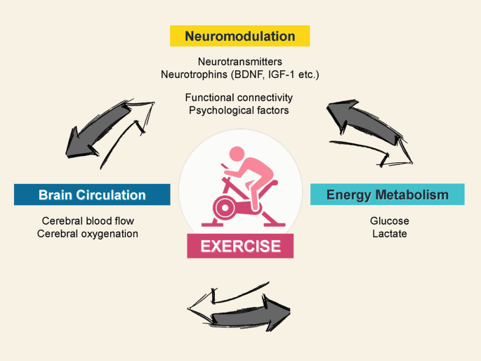 Involvement of Dopamine in Cognitive Improvement by Aerobic Exercise ...