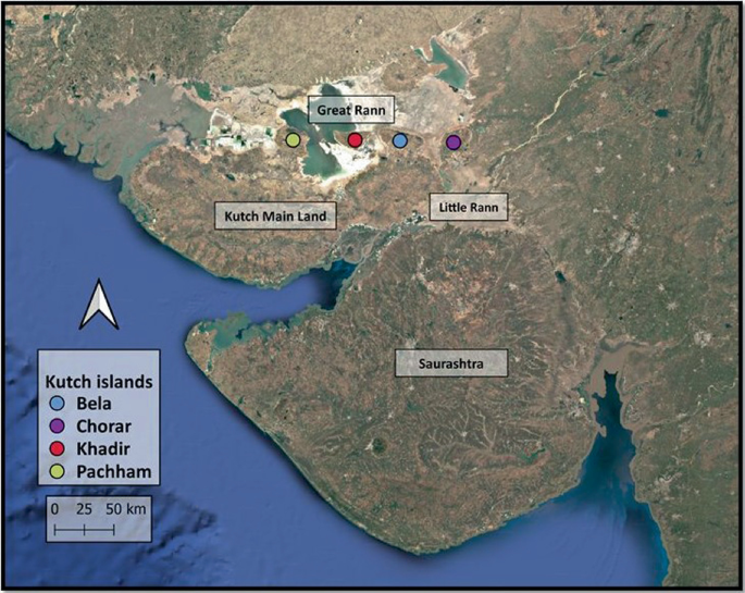 Kutch: A Land “Without a Counterpart on the Globe”—A Perception from ...