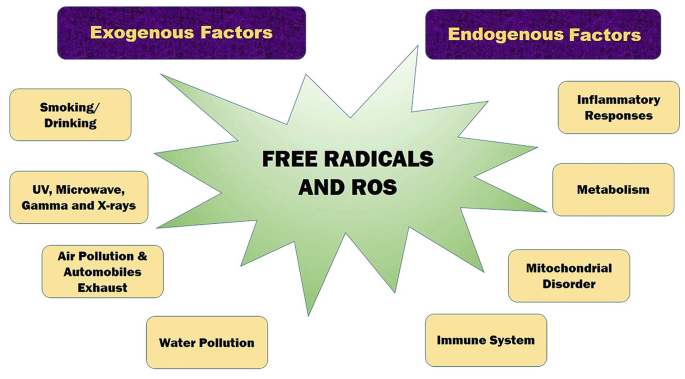 Natural Compounds and Oxidative Stress Management | Springer Nature Link
