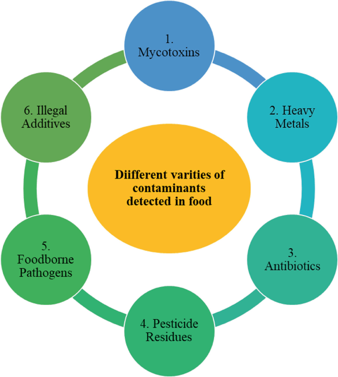 New Insights on Nano Biosensors Applications for Chemical and ...