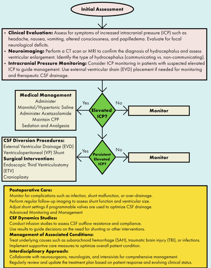Hydrocephalus Management in the ICU | SpringerLink