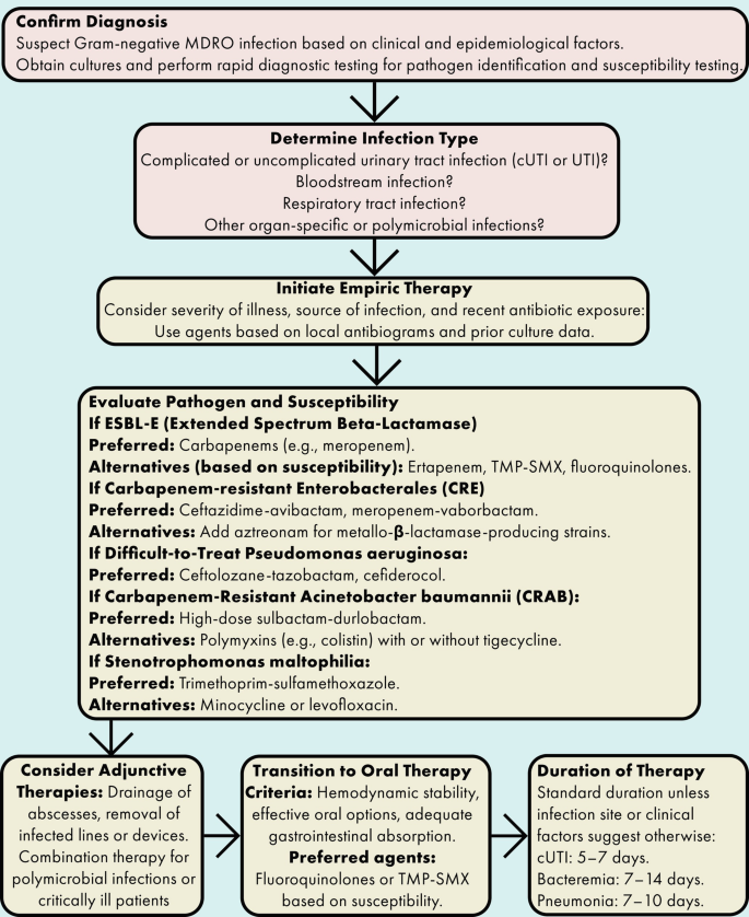 Approach to Gram-Negative Multidrug-Resistant Organisms (MDROs) in the ...