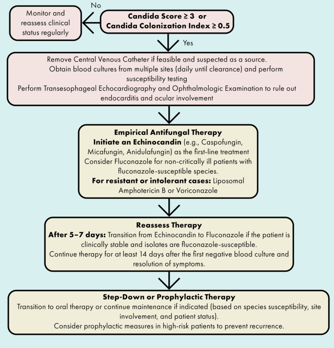Approach to Candidemia in the ICU | SpringerLink