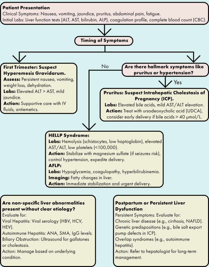 Approach to Liver Dysfunction in Pregnancy in the ICU | SpringerLink