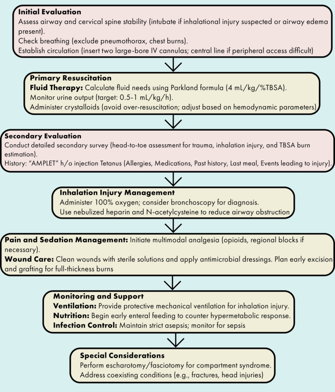 Approach to Burn Patients in the ICU | SpringerLink