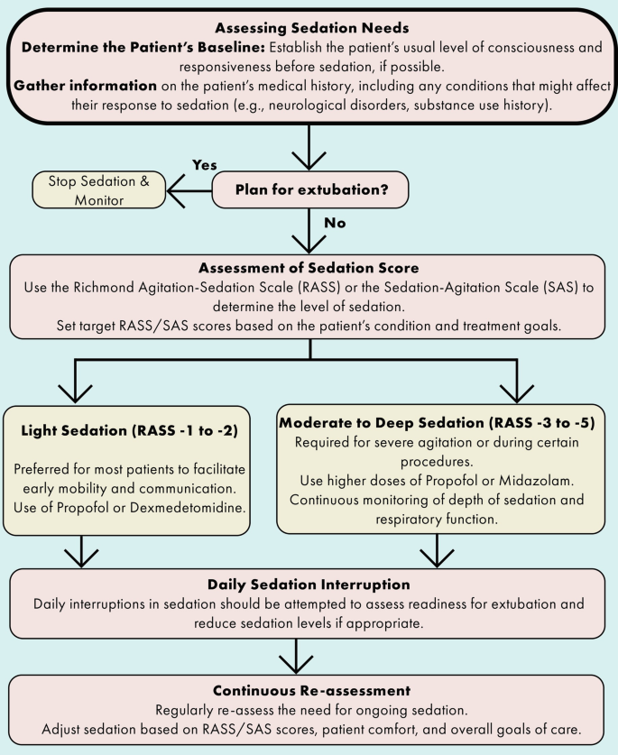 Management of Sedation in the ICU | Springer Nature Link