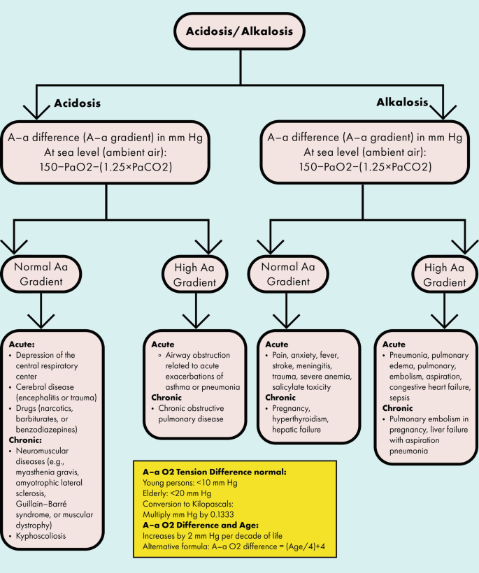 Approach to Respiratory Abnormalities on Blood Gas in the ICU ...